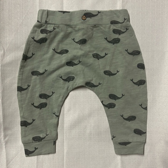 Rylee + Cru | Bottoms | Seafoam Green Pants With Whales Can Match With ...